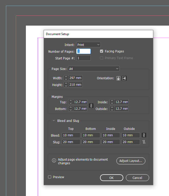 Bug Issue with margins and paper size - document w... - Adobe Product Community - 13404068