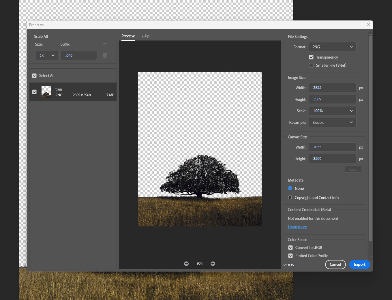 Problem exporting transparent png file. - Adobe Product Community ...