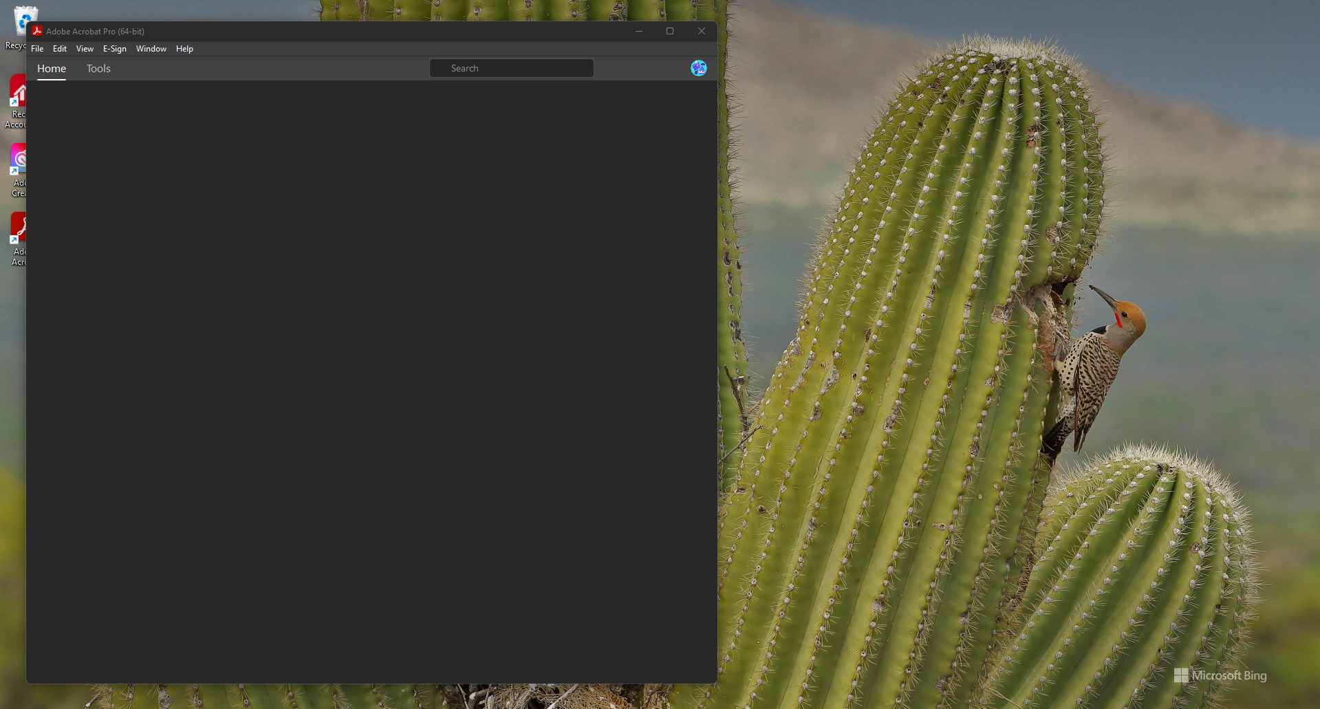 User Interface/ Features Broken - Adobe Community - 13421544