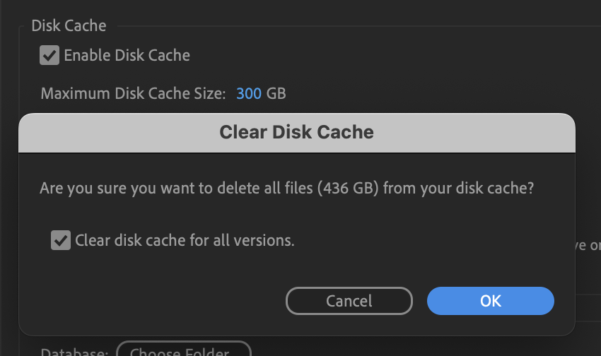 After effects overwriting maximum disc cache - Adobe Community - 13436412