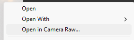Solved: Camera settings in Camera Raw Preferences - Adobe Community ...