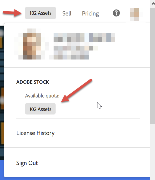 Solved: Did I accidentally download an image that costs? - Adobe ...