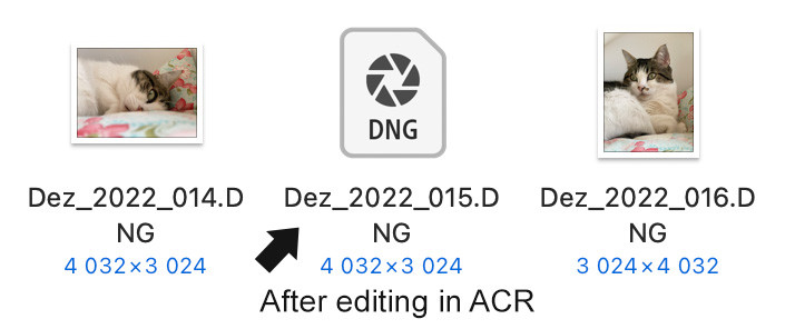 Missing DNG thumbnails - Adobe Community - 13455106