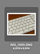 Missing DNG thumbnails - Adobe Community - 13455106