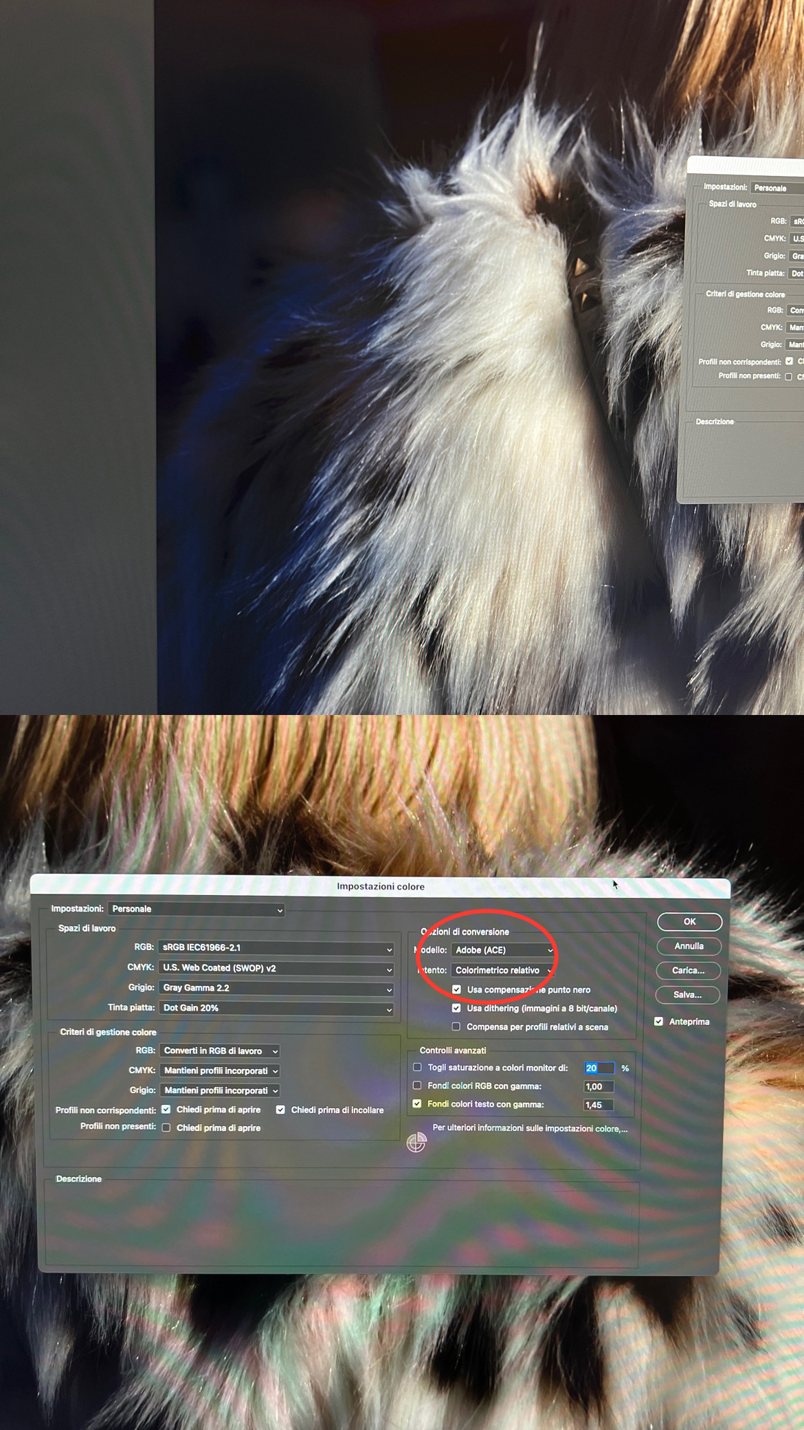 Solved: Gamma bug Photoshop 24.0.1 - Adobe Product Community - 13392630