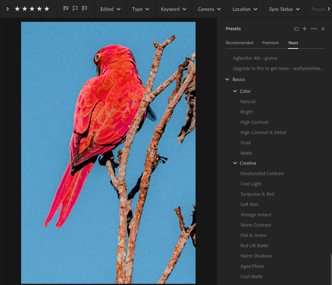P: Preset thumbnails for Lightroom Desktop - Adobe Product Community ...