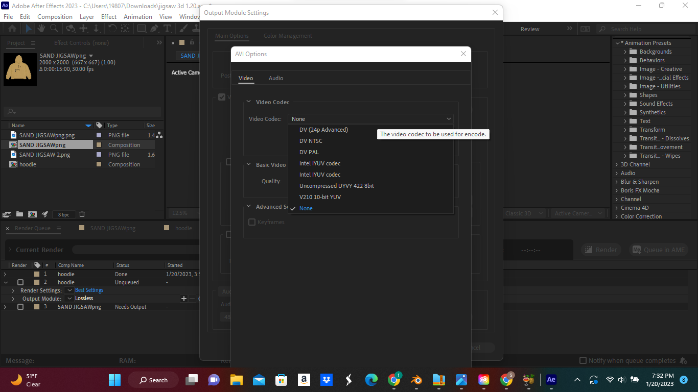 Grayed out Amination tab and Limited Video Codec - Adobe Community ...