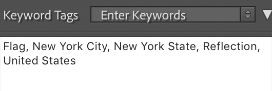 Long time issue of LR modifying keywords I enter - Adobe Product ...