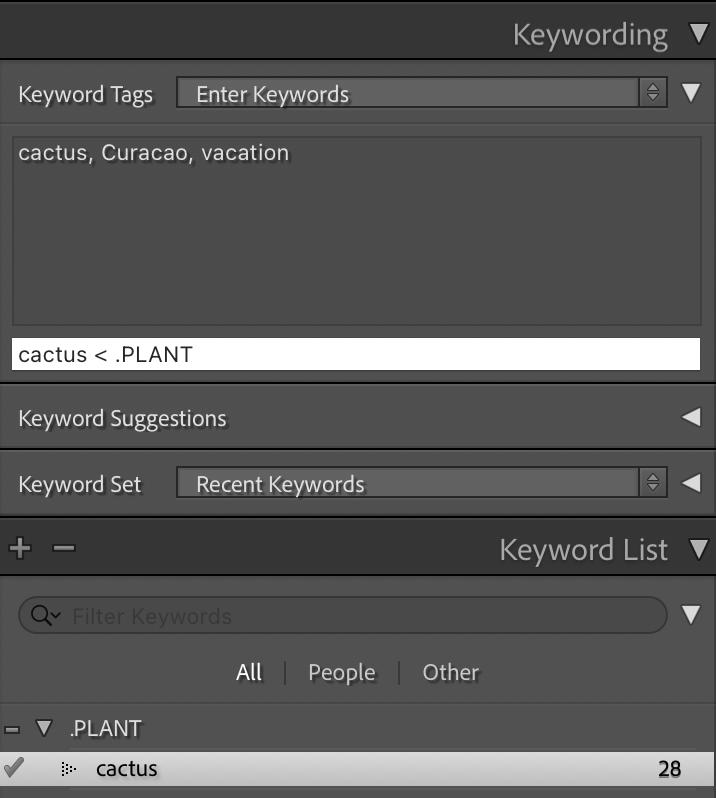 Revise flat to be hierarchical keyword structure i... - Adobe Product Community - 13526141