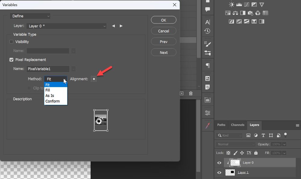 Help with using variables - Adobe Support Community - 13515187