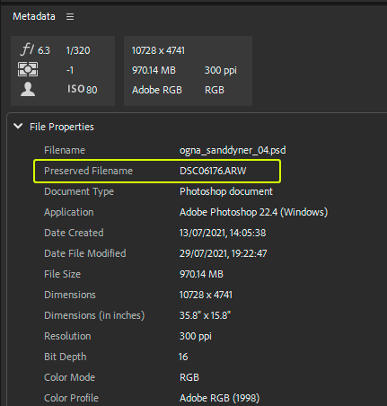 Raw Name not saved to metadata - Adobe Support Community - 13542920