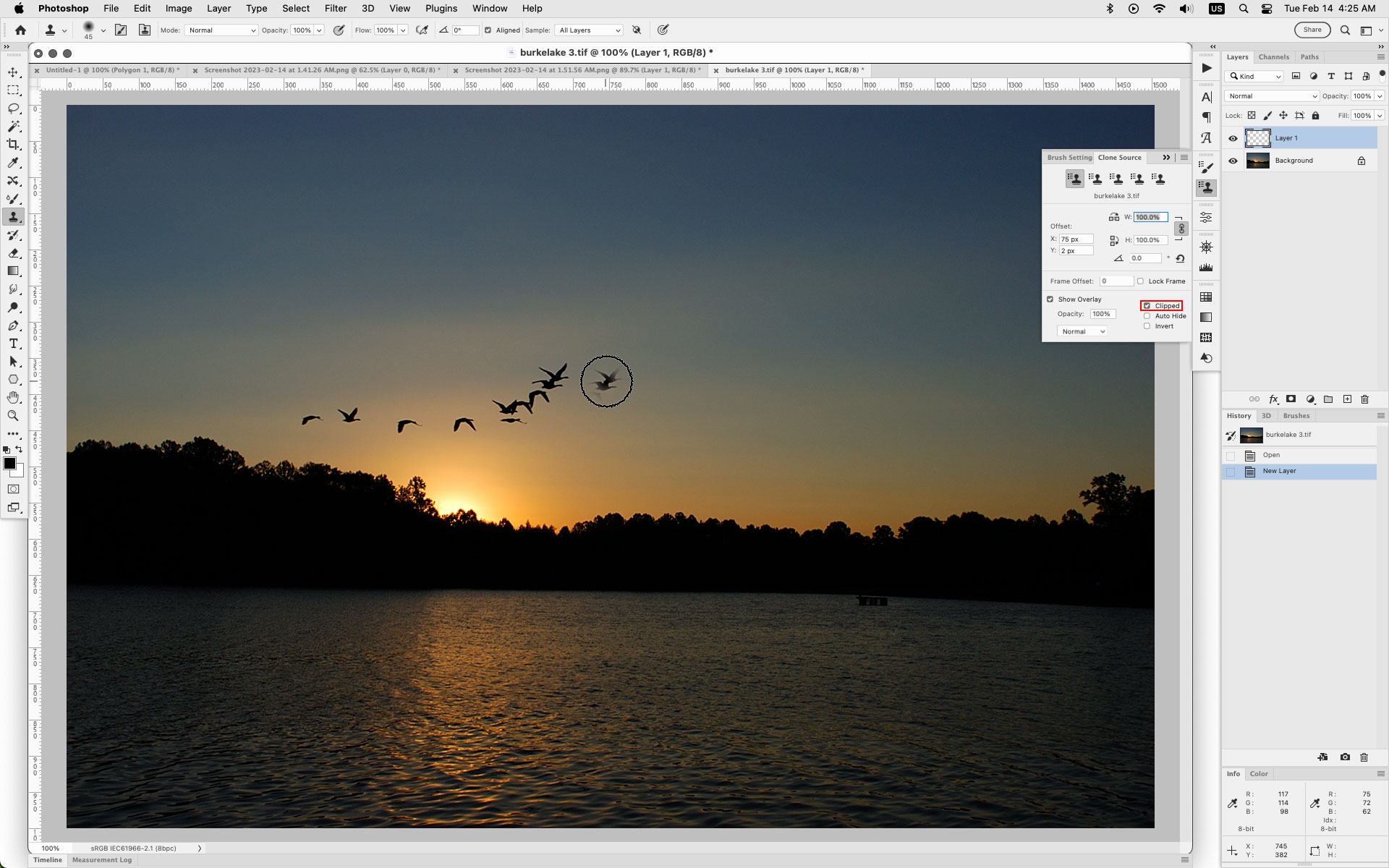 Solved: 2023 healing brush tool and clone tools are select... - Adobe ...