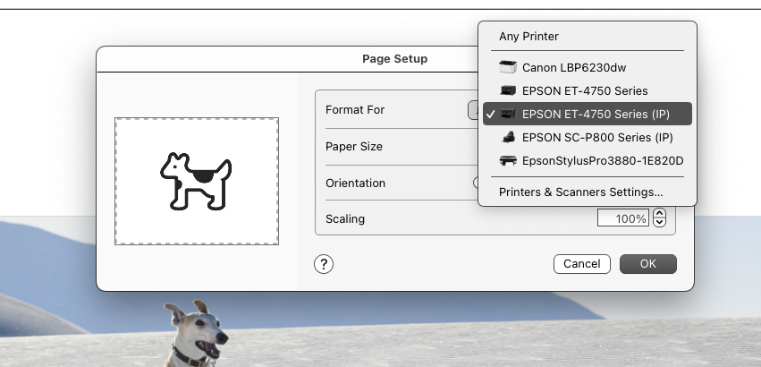 P: Print Module, Page Set Up Crashes Lightroom Cla... - Adobe Product Community - 13326937