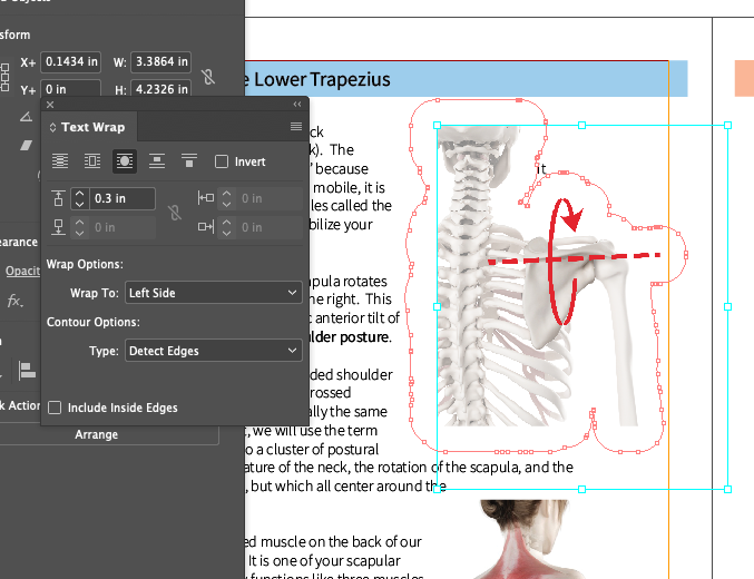 Solved: Text Wrapping Issues - Adobe Product Community - 9583490