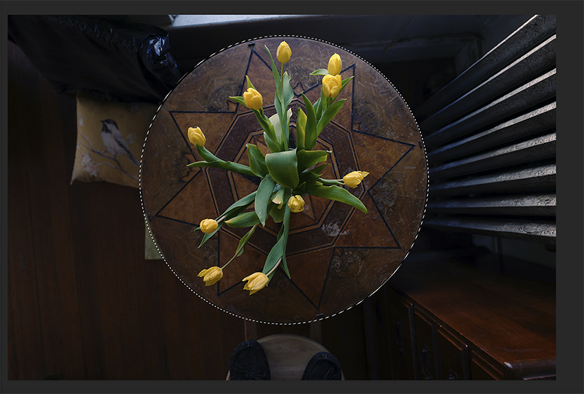 Move Selected Image to New Background - Adobe Community - 10886425