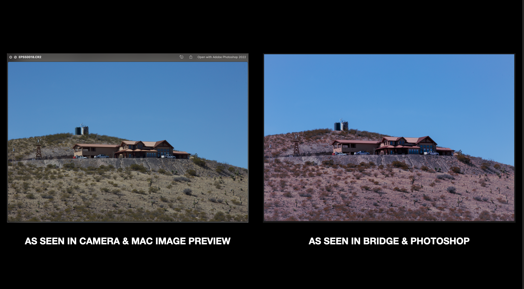 Solved: RAW images suddenly appearing red in Bridge & Phot... - Adobe Product Community - 13621340