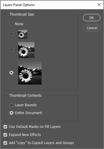 White highlight border around selected image in th... - Adobe Support ...