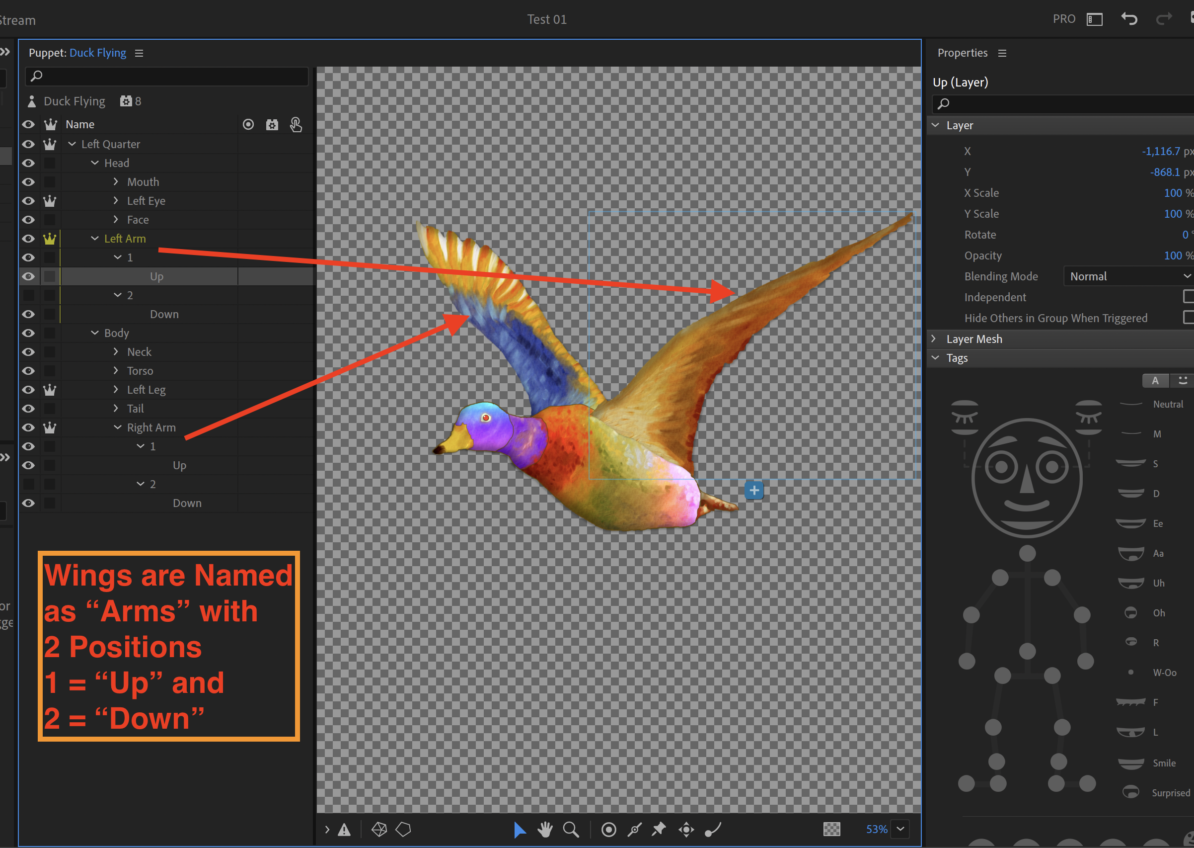 Solved: How to Rig and Animate a Flying Bird? - Adobe Product Community - 13629497