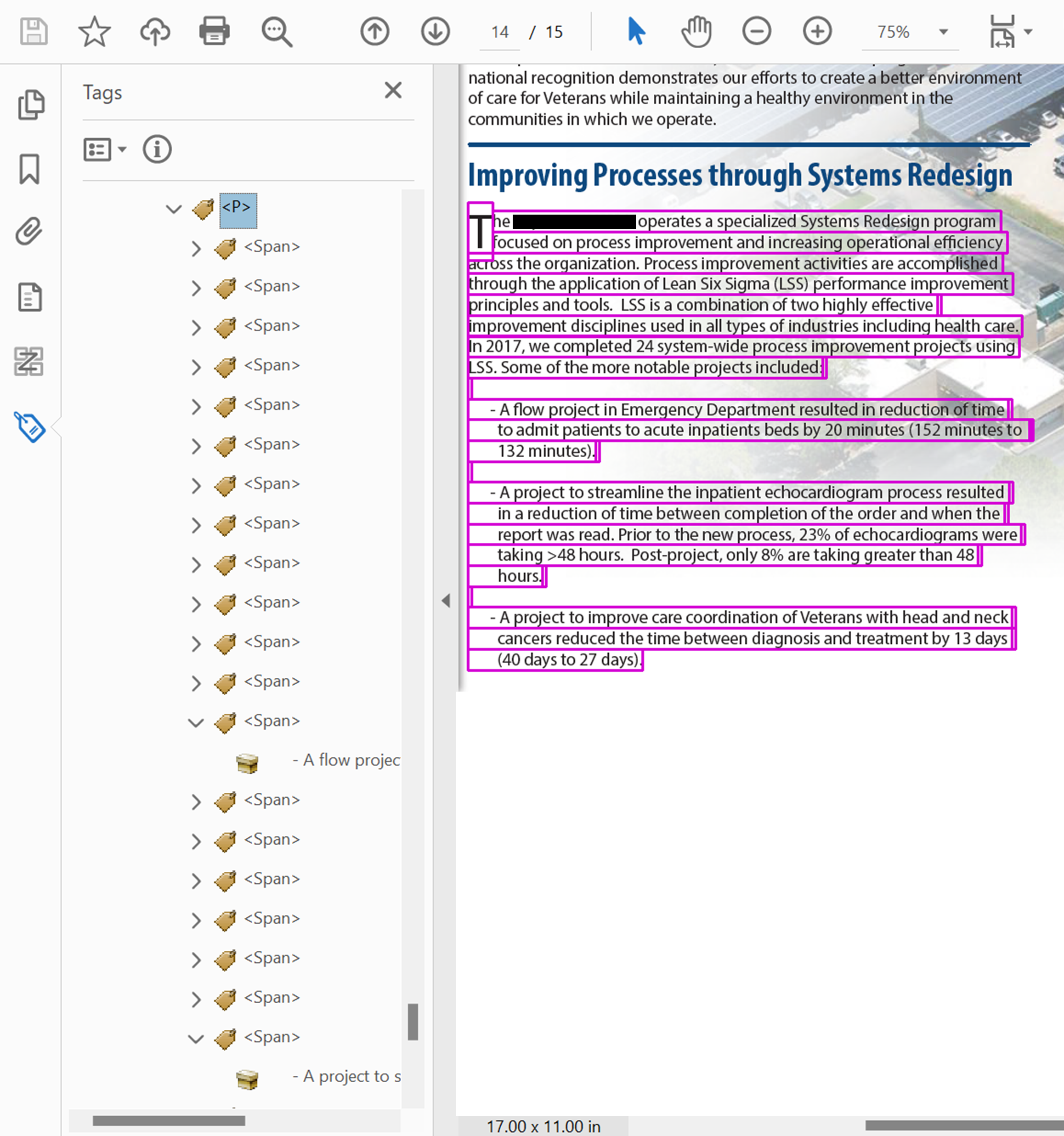 Span tag in PDF - Adobe Product Community - 13413842