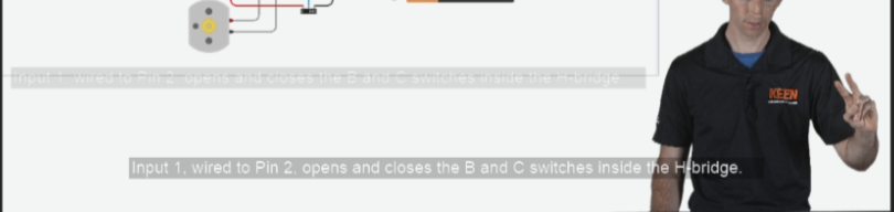 Simple Text Effect Renders in Secondary Random Pos... - Adobe Community ...