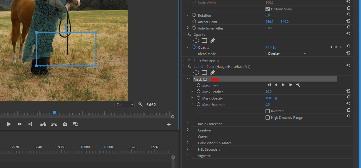 Cannot see blue masking lines in Premiere Pro cc 2... - Adobe Product ...