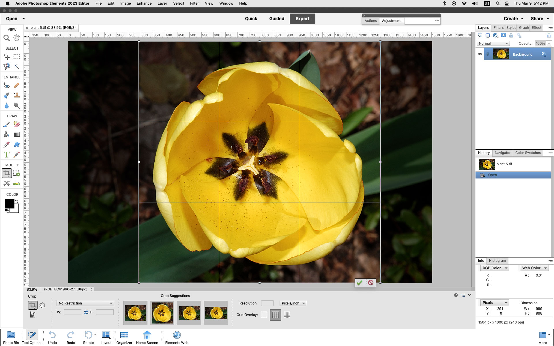 How to turn off auto crop when copying/pasting lay... - Adobe Product ...
