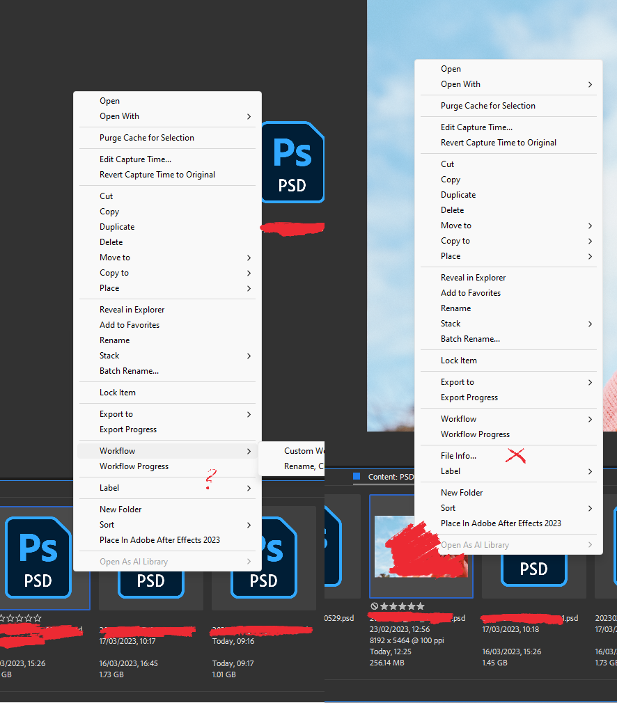 "File info" menu shows/doesn't show depending on f... - Adobe Product ...