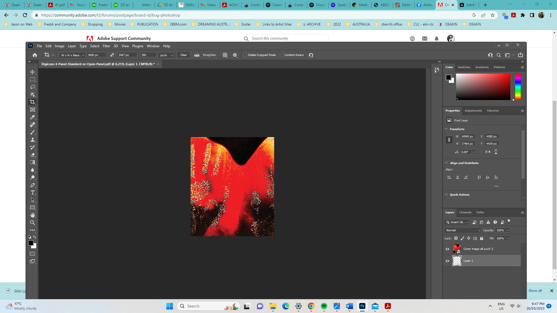 Solved: HOW TO MAKE CROP TOOL FUNCTION INSIDE A SINGLE LAY... - Adobe Product Community - 13663442