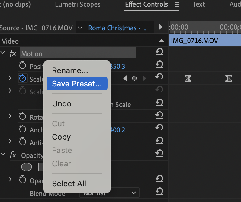 Timeline template - Adobe Product Community - 13686454