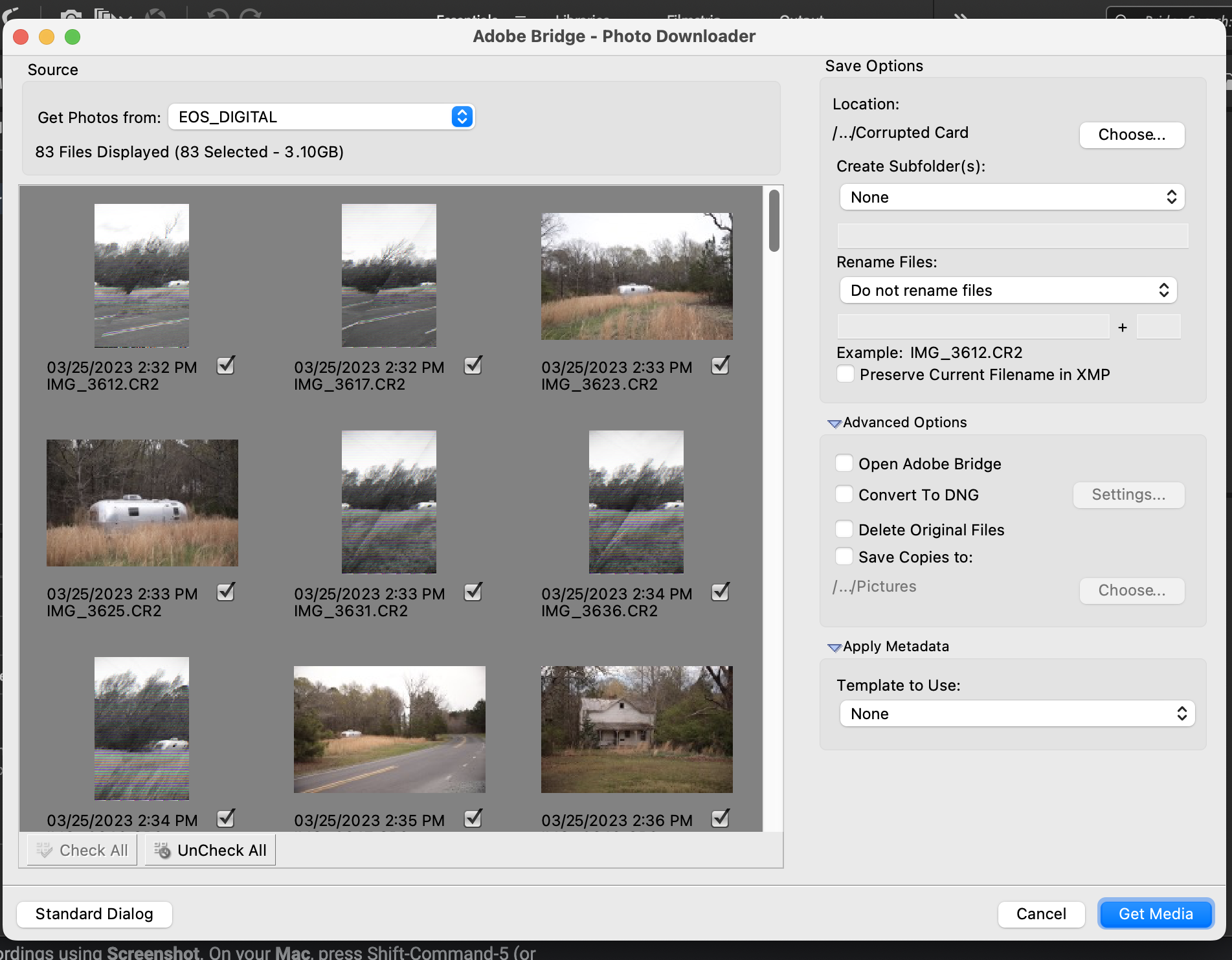 Bridge Photo Downloader Thumbnail Glitch - Adobe Community - 13698838