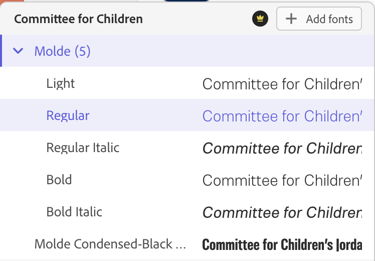 Uploaded brand fonts displaying incorrectly - Adobe Product Community - 13701649
