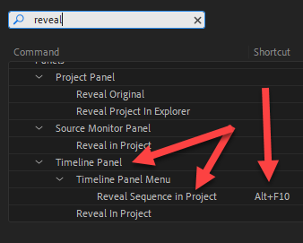 Solved: Different (broken) behaviour of "Reveal Sequence i... - Adobe ...