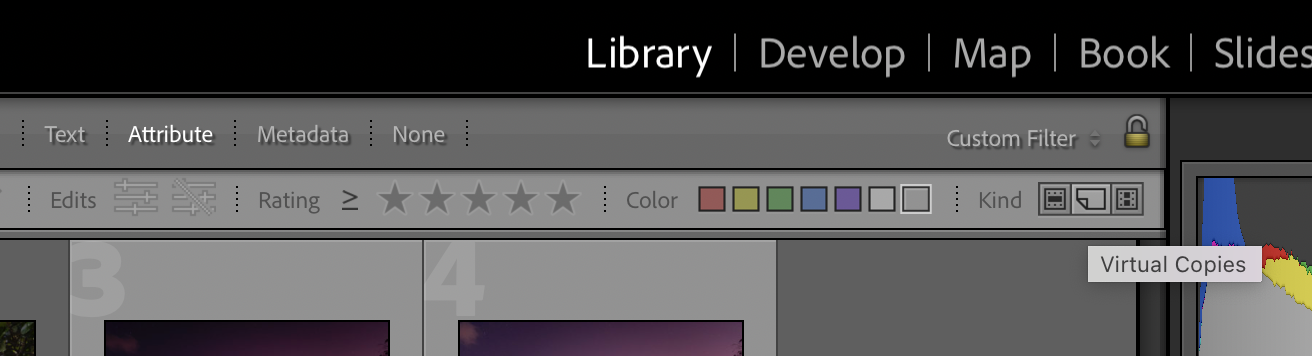 Solved: Virtual Copies disappearing/not appearing - Adobe Product ...