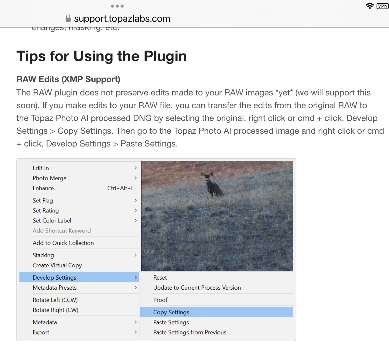 dng file from external software loses profile and ... - Adobe Product ...