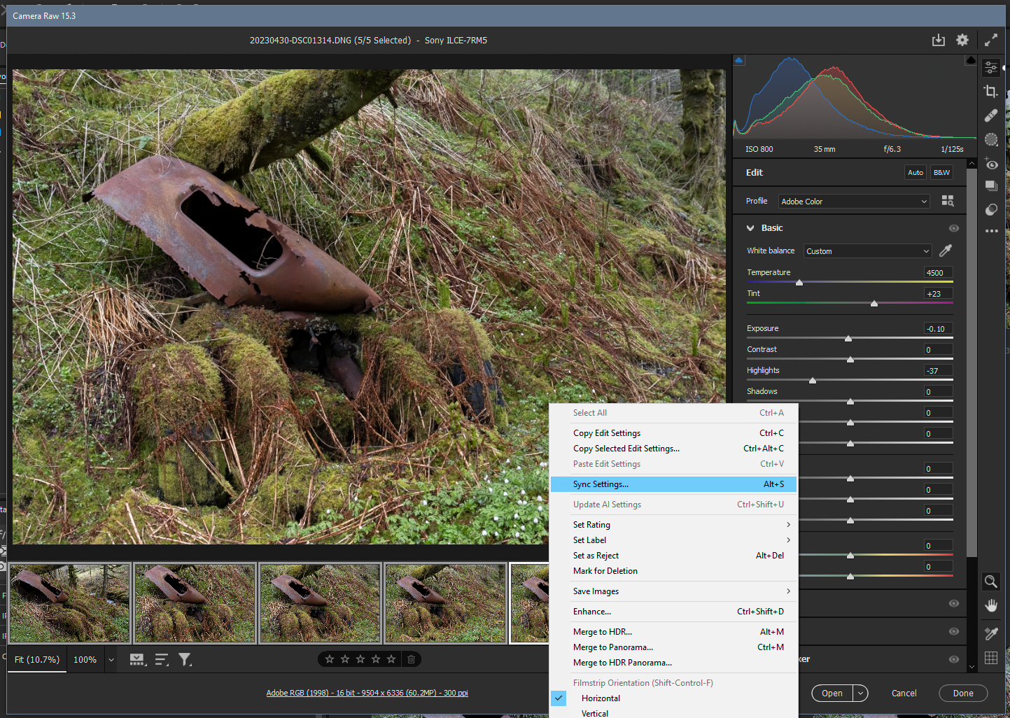 Solved: Can I 'copy' Camera Raw settings given to one imag... - Adobe ...