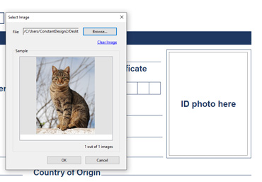 Solved: Adobe Acrobat Pro - Prepare form - Inserting an im... - Adobe ...