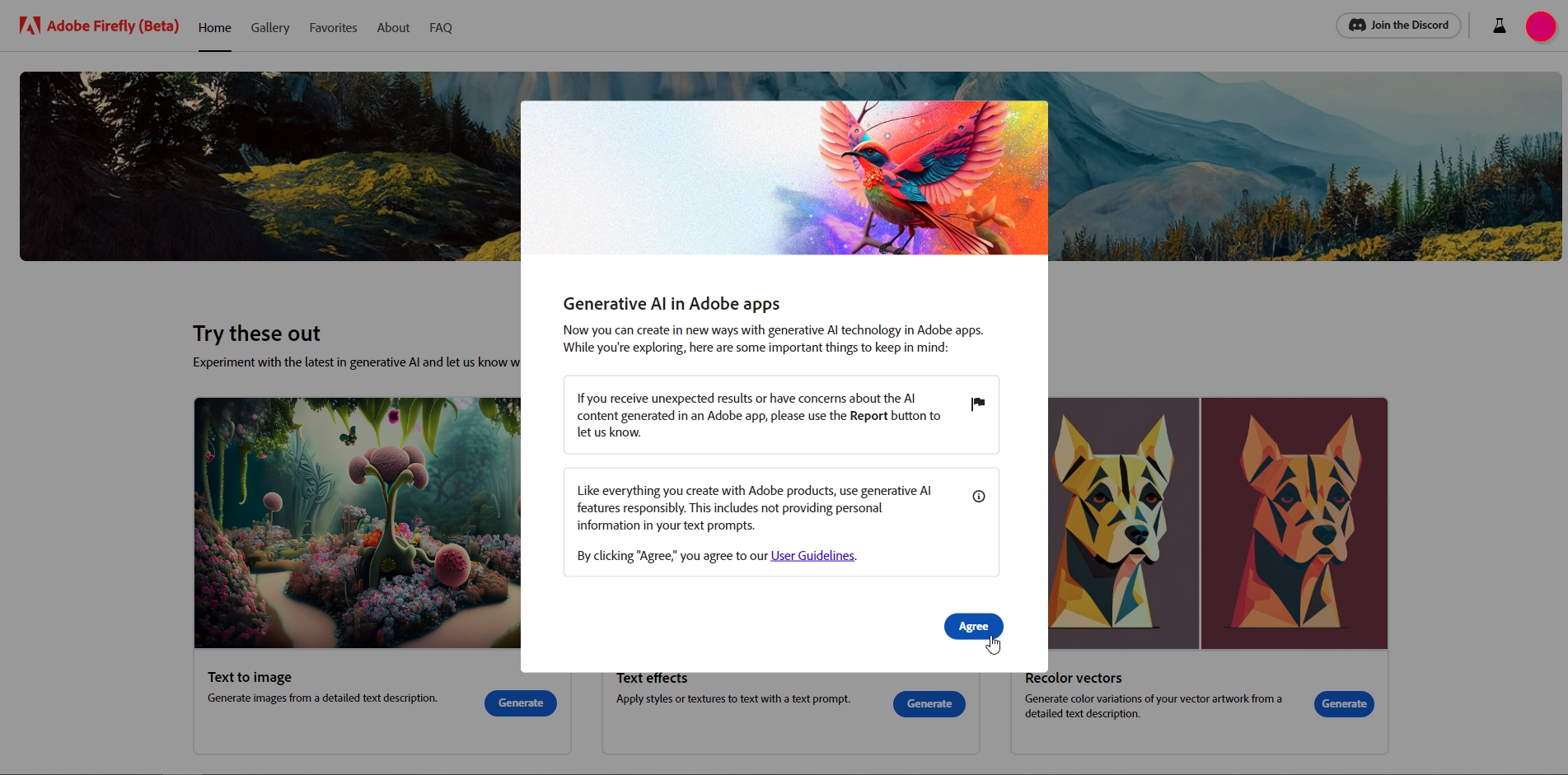 P: Blank screen after selection option - Adobe Product Community - 13742555