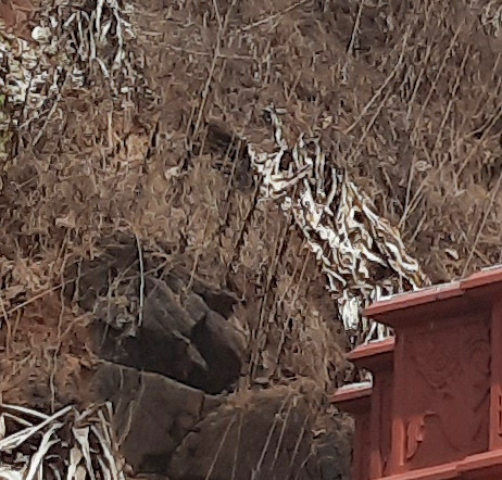 Solved: Can you please help me on below list of images - Adobe ...