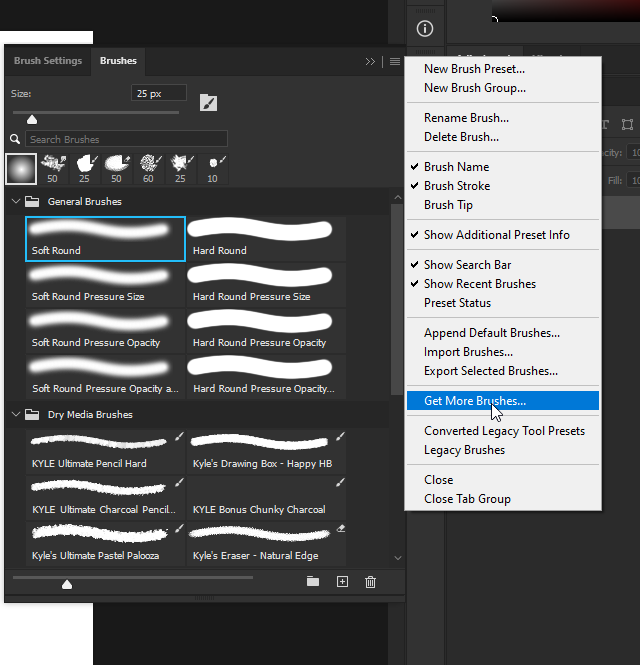 Solved: Kyle Brush Site is not working - Adobe Community - 13802062