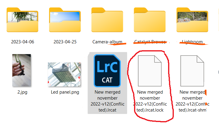 Lightroom classic doesn't start and lrcat files ke... - Adobe Community ...