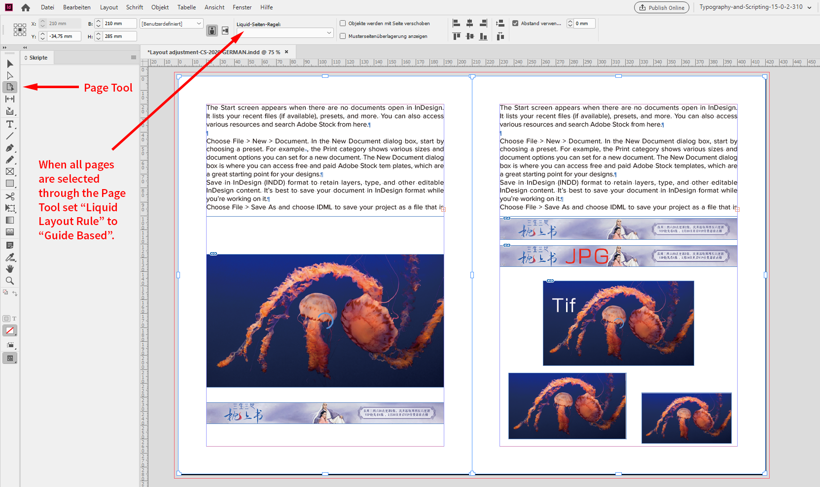 Solved: Unusual, weird layout (ID CC2020): fonts are scale... - Adobe ...