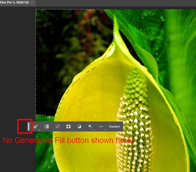 Solved: The Generative Fill button is not shown in the con... - Page 9 - Adobe Product Community ...