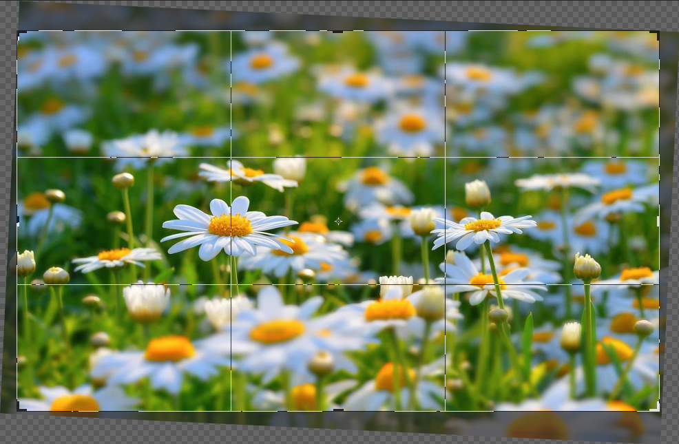 Smart crop (Crop empty pixels) - Adobe Product Community - 13817270