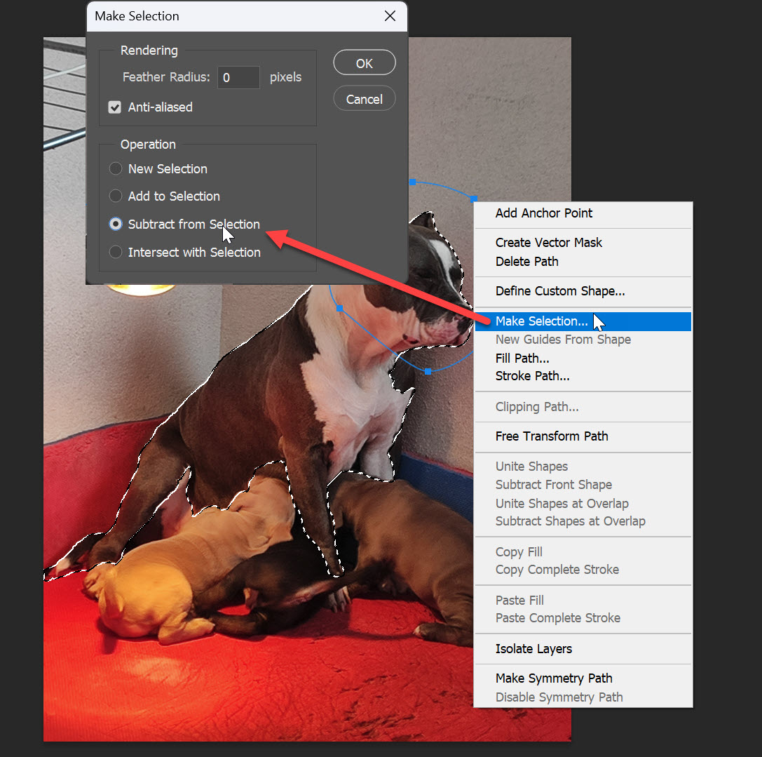 Solved: Subtracting from Select subject issue - Adobe Community - 13827760