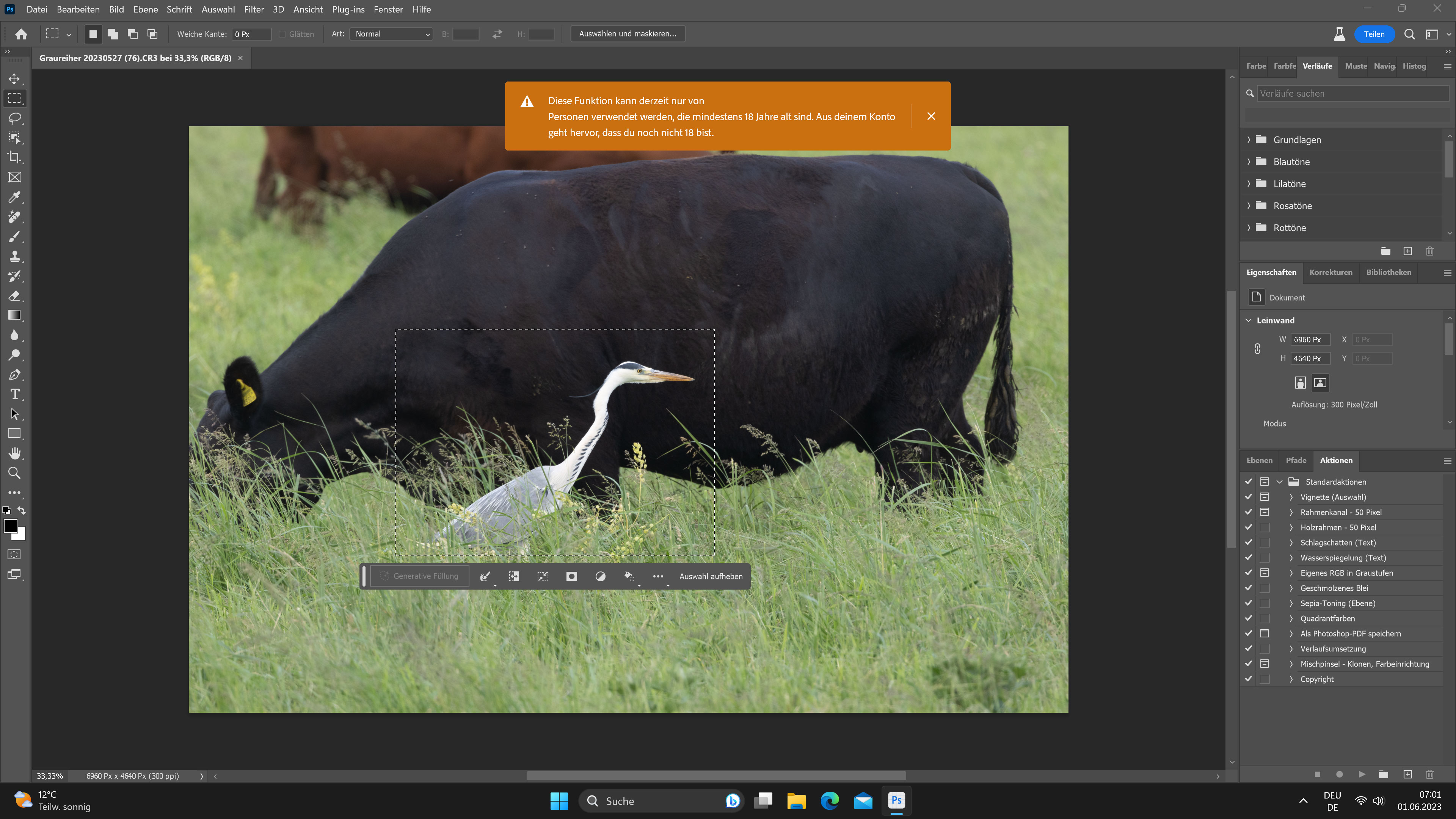 Solved: Photoshop Beta Version, neue Funktion, - Adobe Community - 13833127