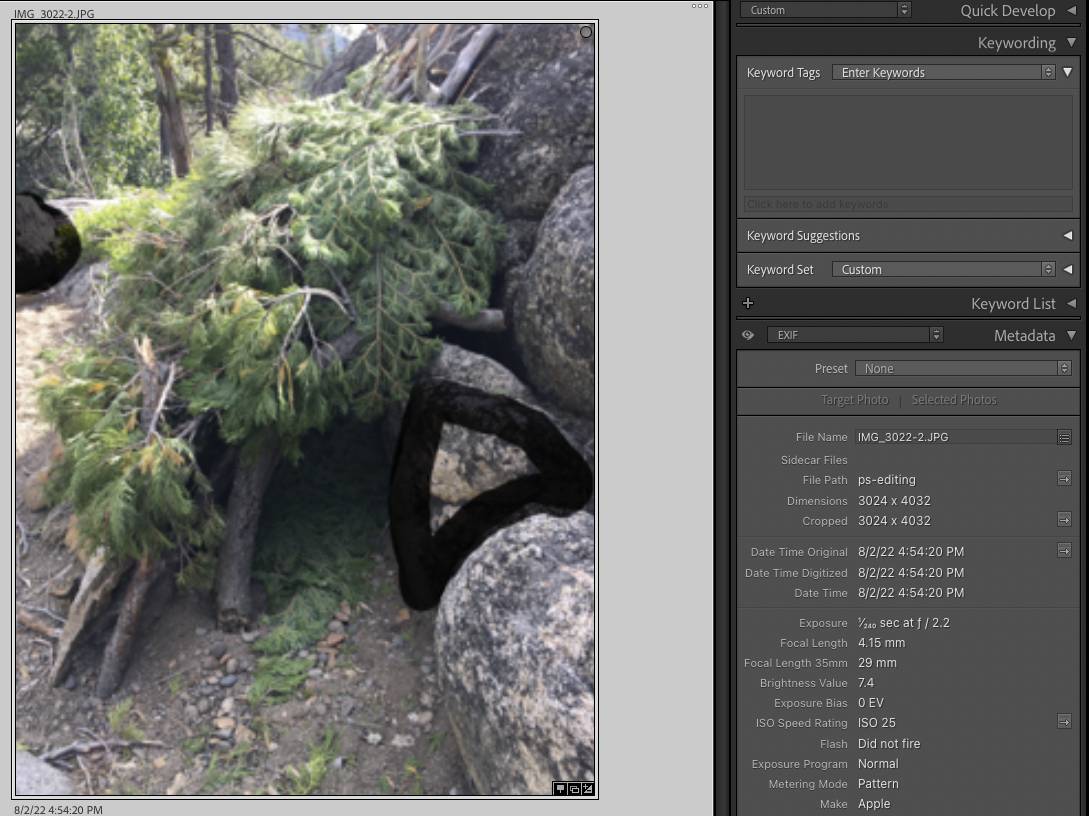 P:Editing original JPEG file in Photoshop messes u... - Adobe Product ...