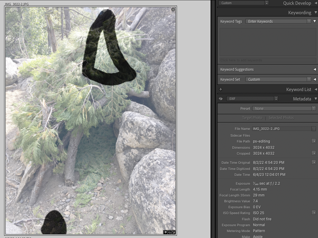 P:Editing original JPEG file in Photoshop messes u... - Adobe Product ...