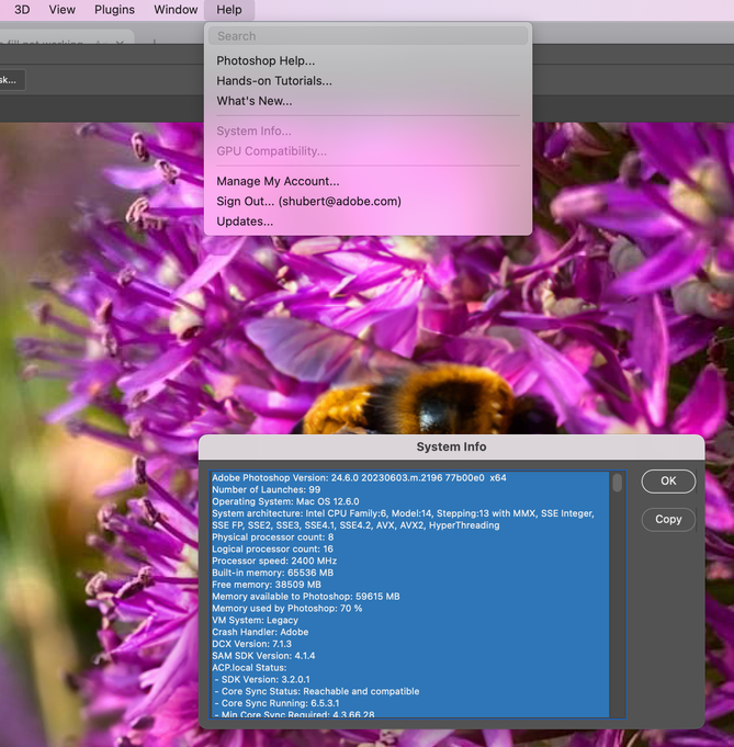 Generative fill not working - Adobe Community - 13843598