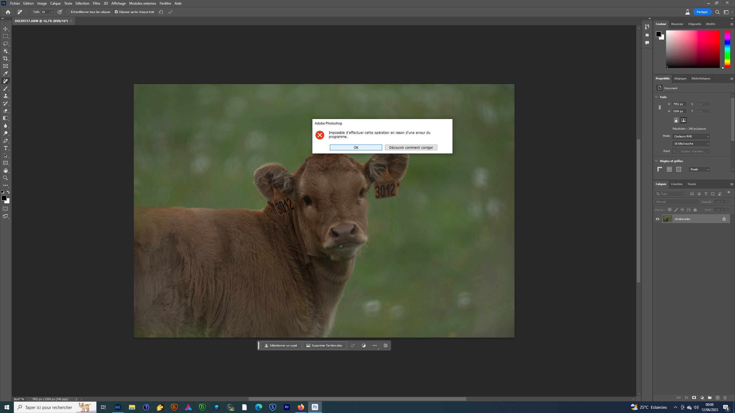 Re: Remove Tool in Beta for Photoshop Desktop - Page 10 - Adobe Product ...