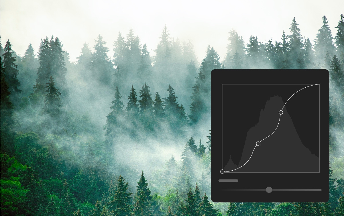 📸 Camera Raw & DNG Converter 15.4 is now availabl... - Adobe Product ...